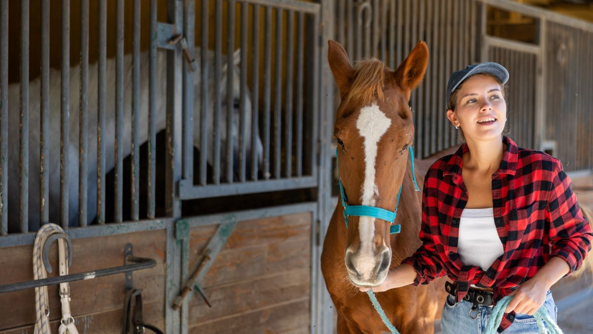 Cheval français : les races emblématiques et leur histoire